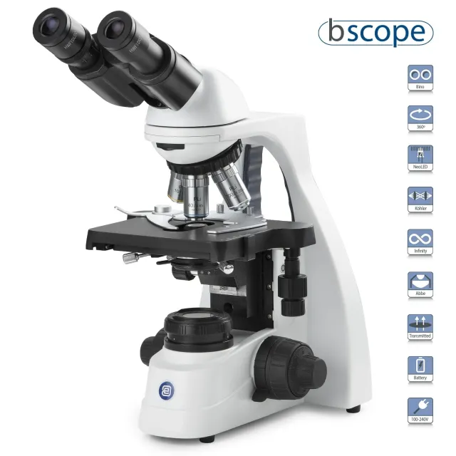 AmScope BS1152-PLI – Shop Compound Binocular Microscopes Online | Selectum
