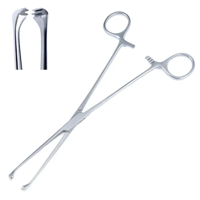 Sklar 36-2280C – Shop Forceps Online | Selectum